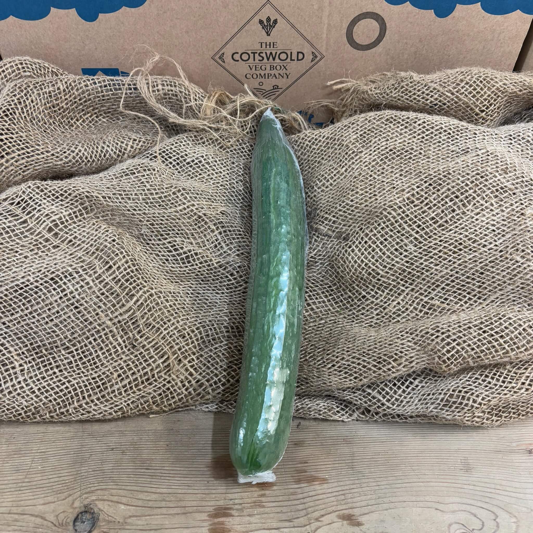 Cucumber – The Cotswold Veg Box Company