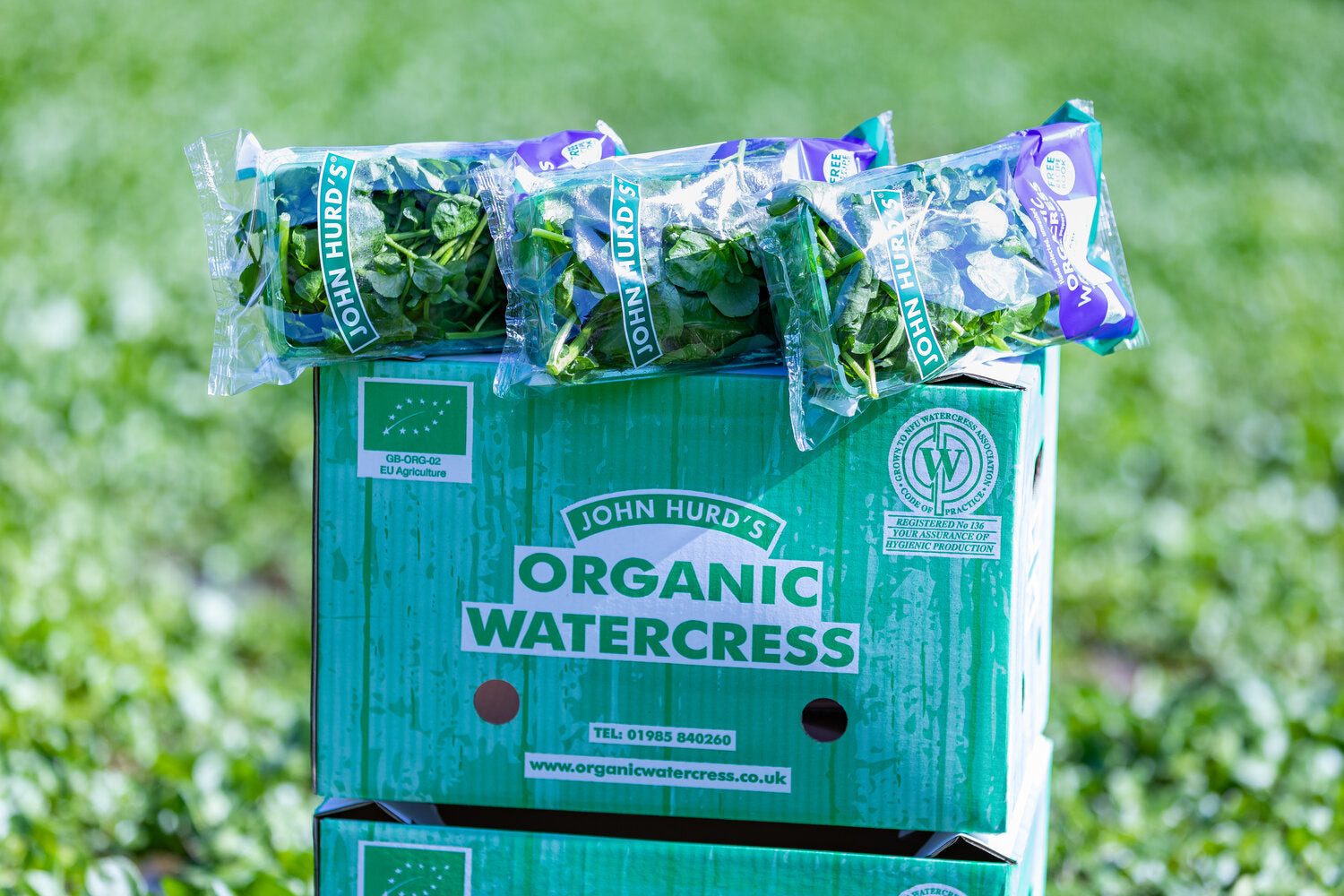 John Hurd's Organic Watercress – The Cotswold Veg Box Company