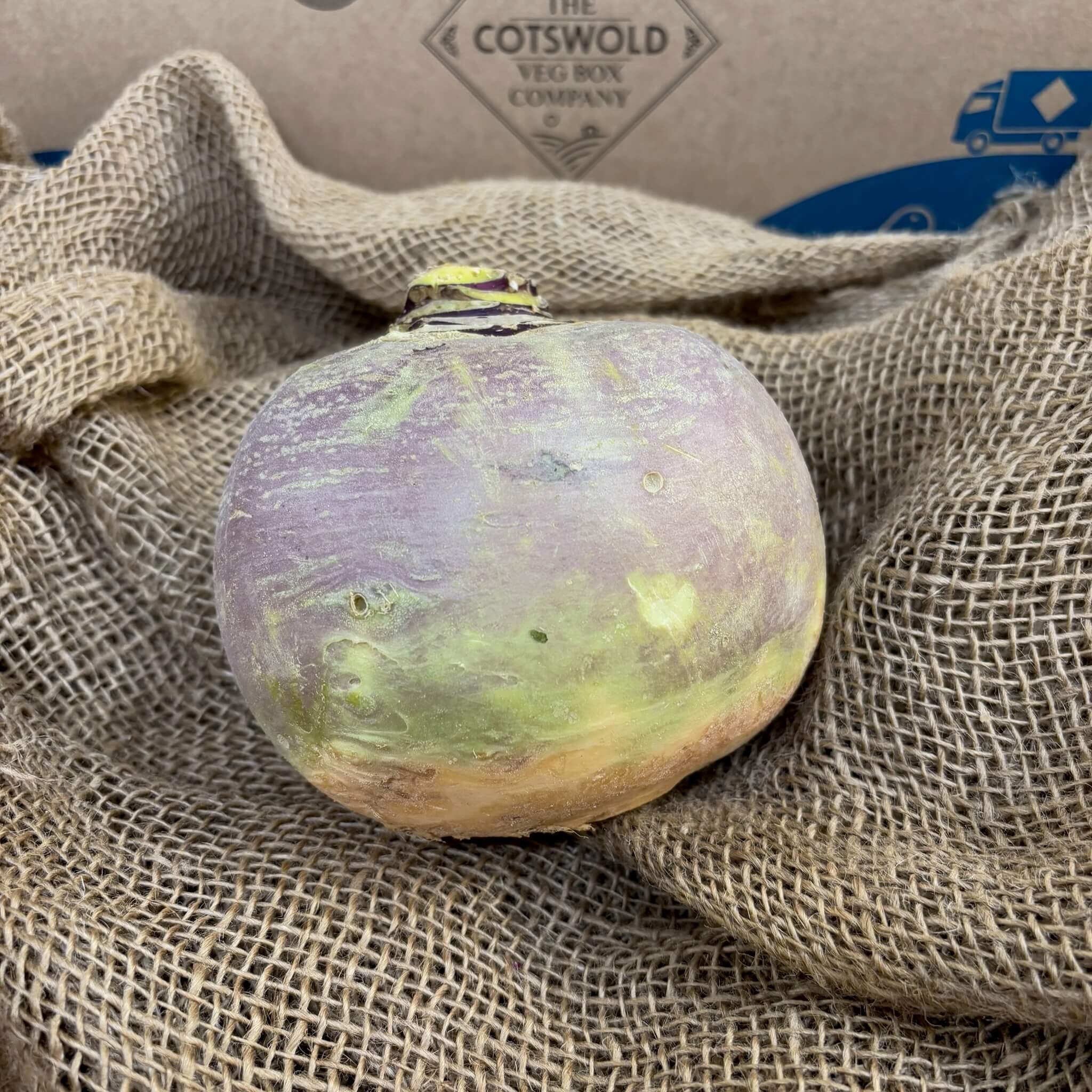 Swede – The Cotswold Veg Box Company