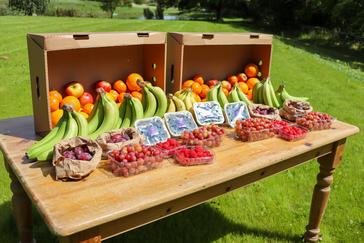 Workplace CVB Fruit Box – The Cotswold Veg Box Company